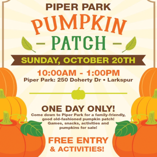 Piper Park Pumpkin Patch | Marin Mommies