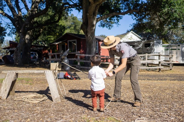 Morgan Horse Ranch Open House - Holiday Edition! | Marin Mommies