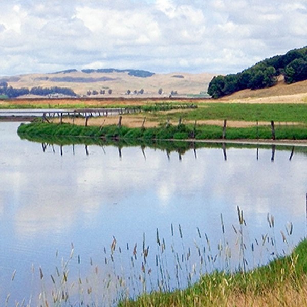 Family Walk: Bahia, Novato| Marin Mommies