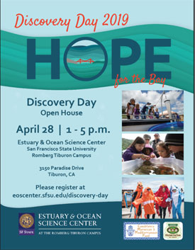 Discovery Day Open House | Marin Mommies
