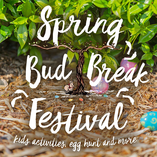 Spring Bud Break Festival (and Egg Hunt!) | Marin Mommies