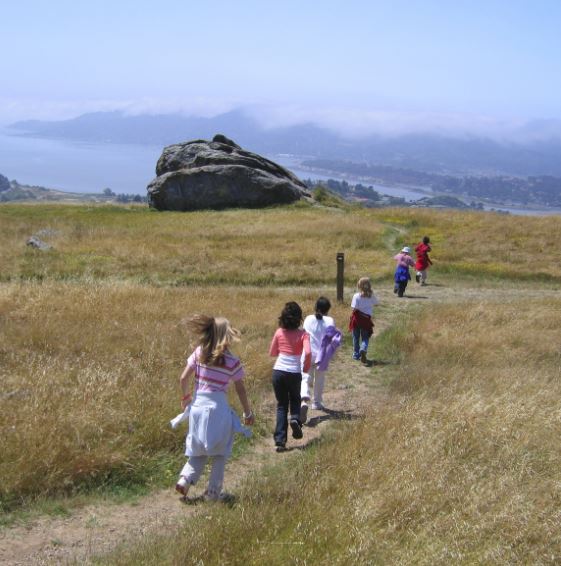 Hiking Up Ring Mountain | Marin Mommies