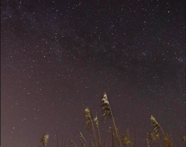 Astronomy Program: starry, starry night | Marin Mommies