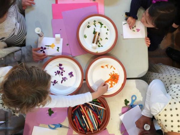 Family Program: Botanical Valentine Tea, UC Botanical Garden at ...