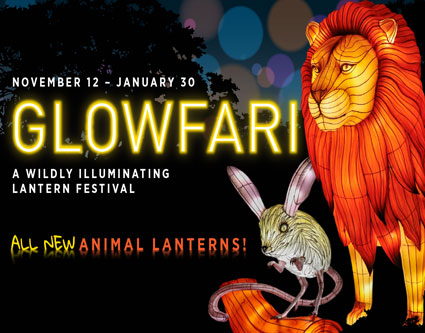 Glowfari at Oakland Zoo | Marin Mommies