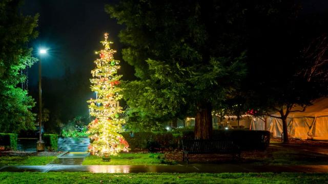 Calistoga Holiday Village & Tree Lighting | Marin Mommies