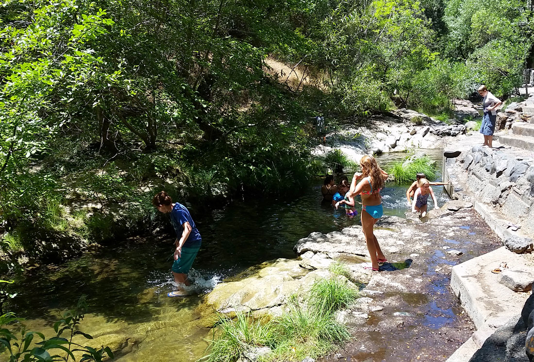 Wine Country Swimming Fun at Morton's Warm Springs | Marin Mommies