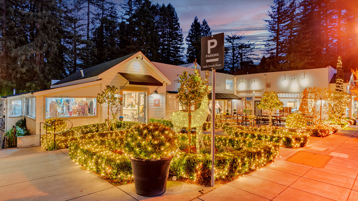 Enjoy a Night in Winter Wonderland at the Lark Creek Shops with Friends ...