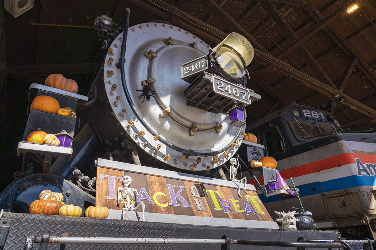 Halloween Train Rides for Kids in Northern California| Marin Mommies