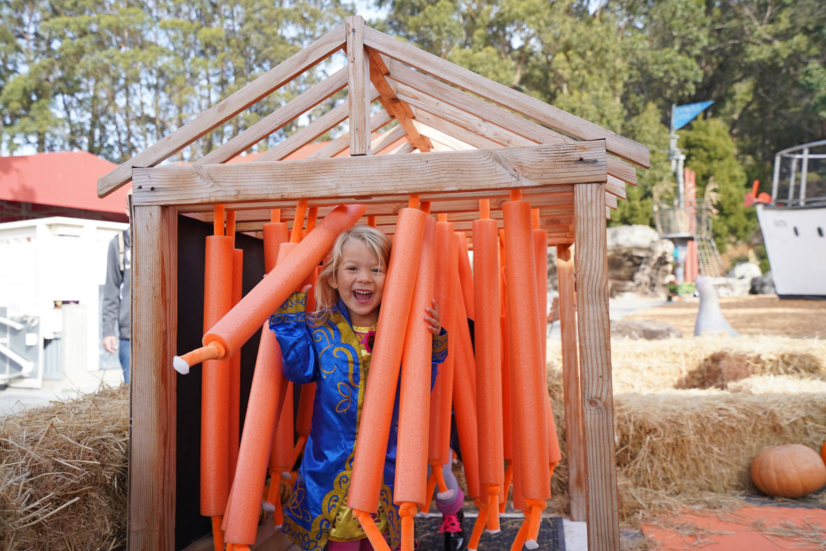 Marin Fall Family Fun Bucket List | Marin Mommies
