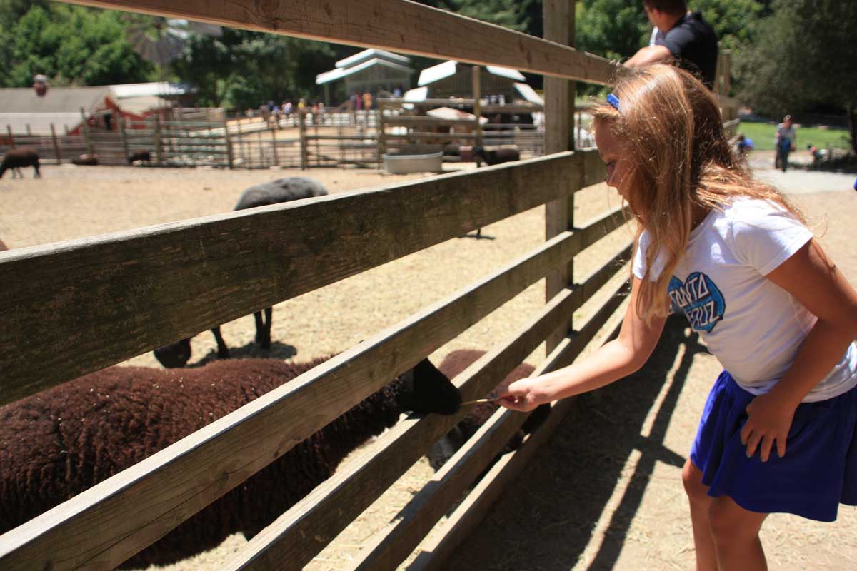 Explore Berkeley's Tilden Park for Family Fun and Adventure | Marin Mommies