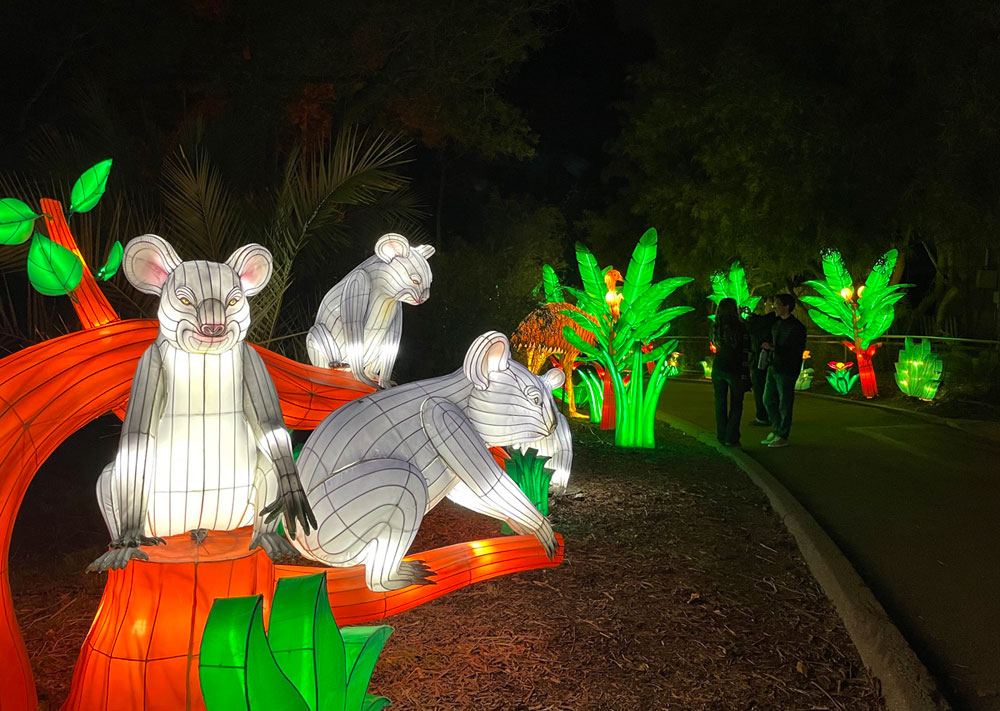 Glowfari, Oakland Zoo| Marin Mommies