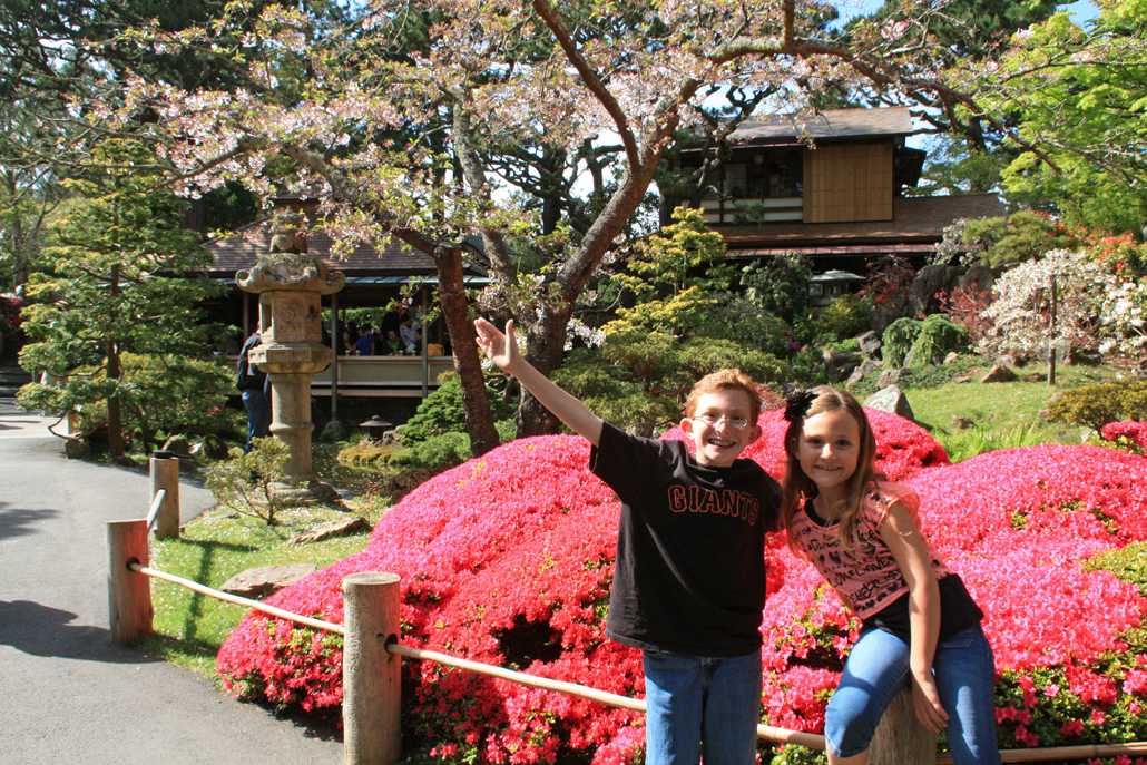Spring is in Bloom at the Japanese Tea Garden | Marin Mommies