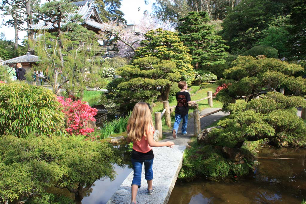 Spring is in Bloom at the Japanese Tea Garden | Marin Mommies