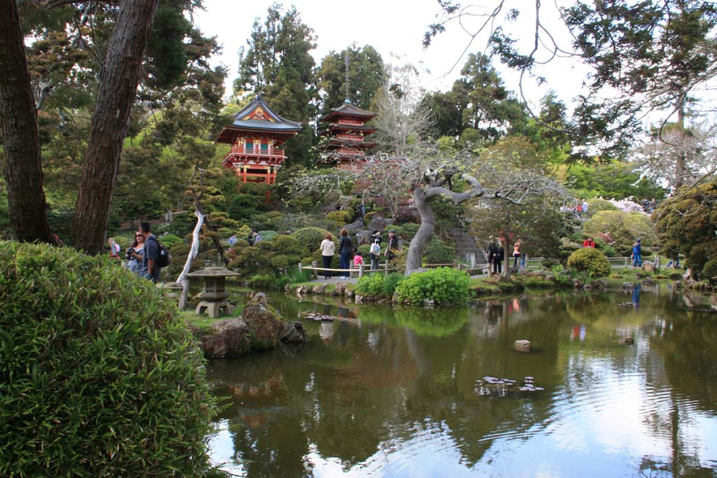 Spring is in Bloom at the Japanese Tea Garden | Marin Mommies