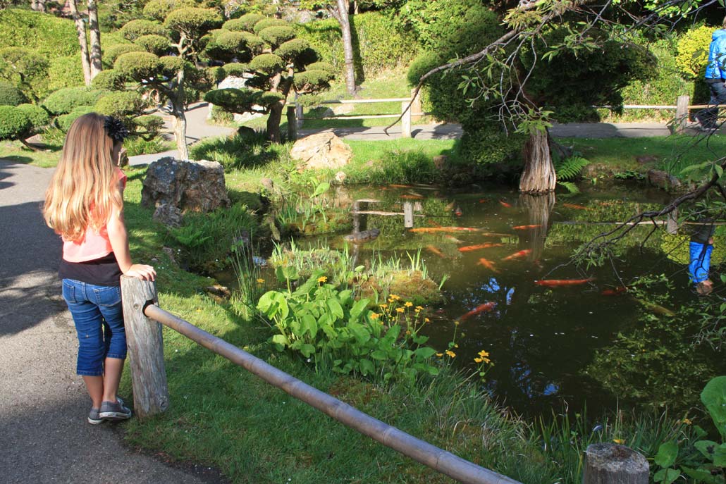 Spring is in Bloom at the Japanese Tea Garden | Marin Mommies