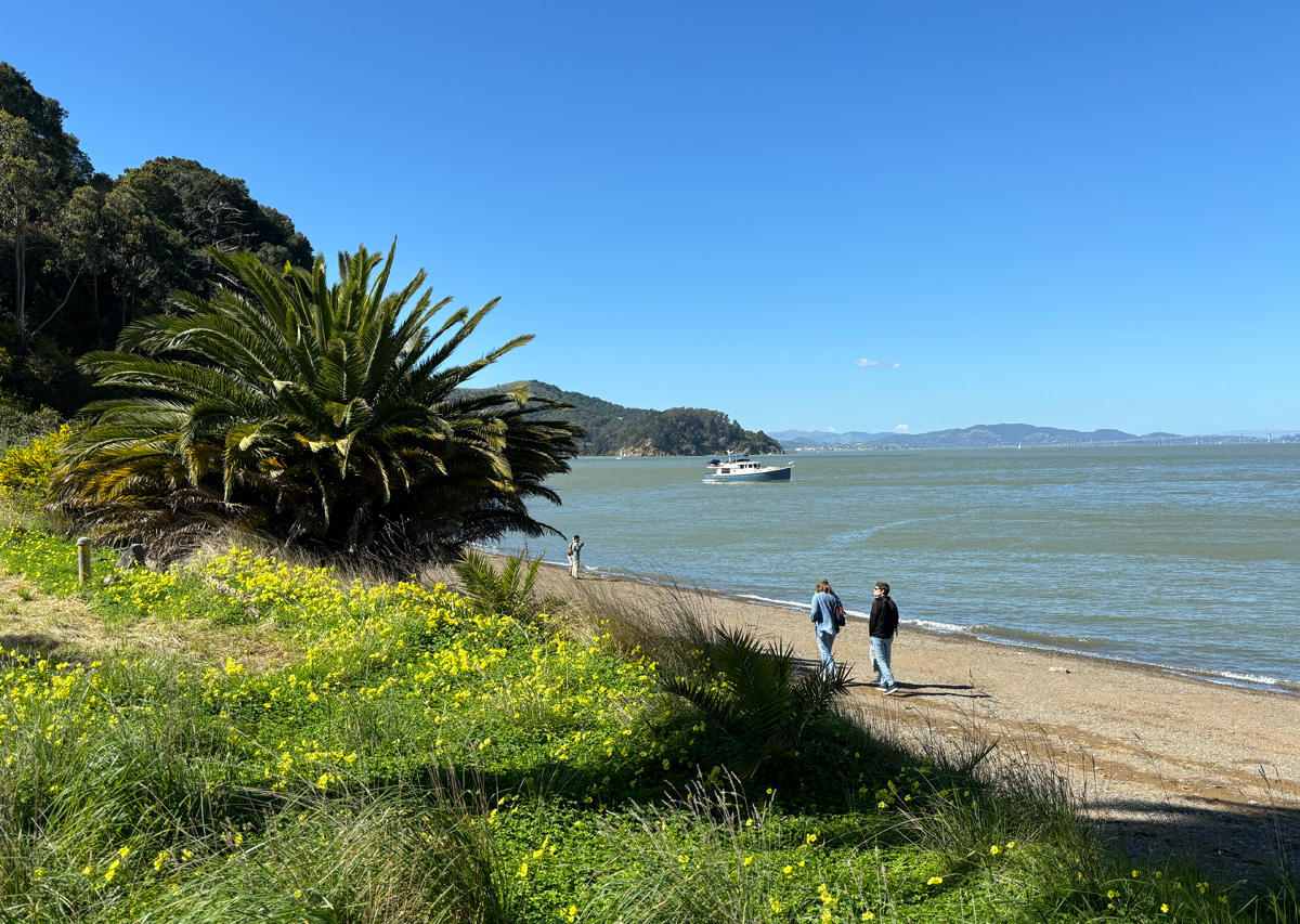 Exploring Angel Island with Kids | Marin Mommies