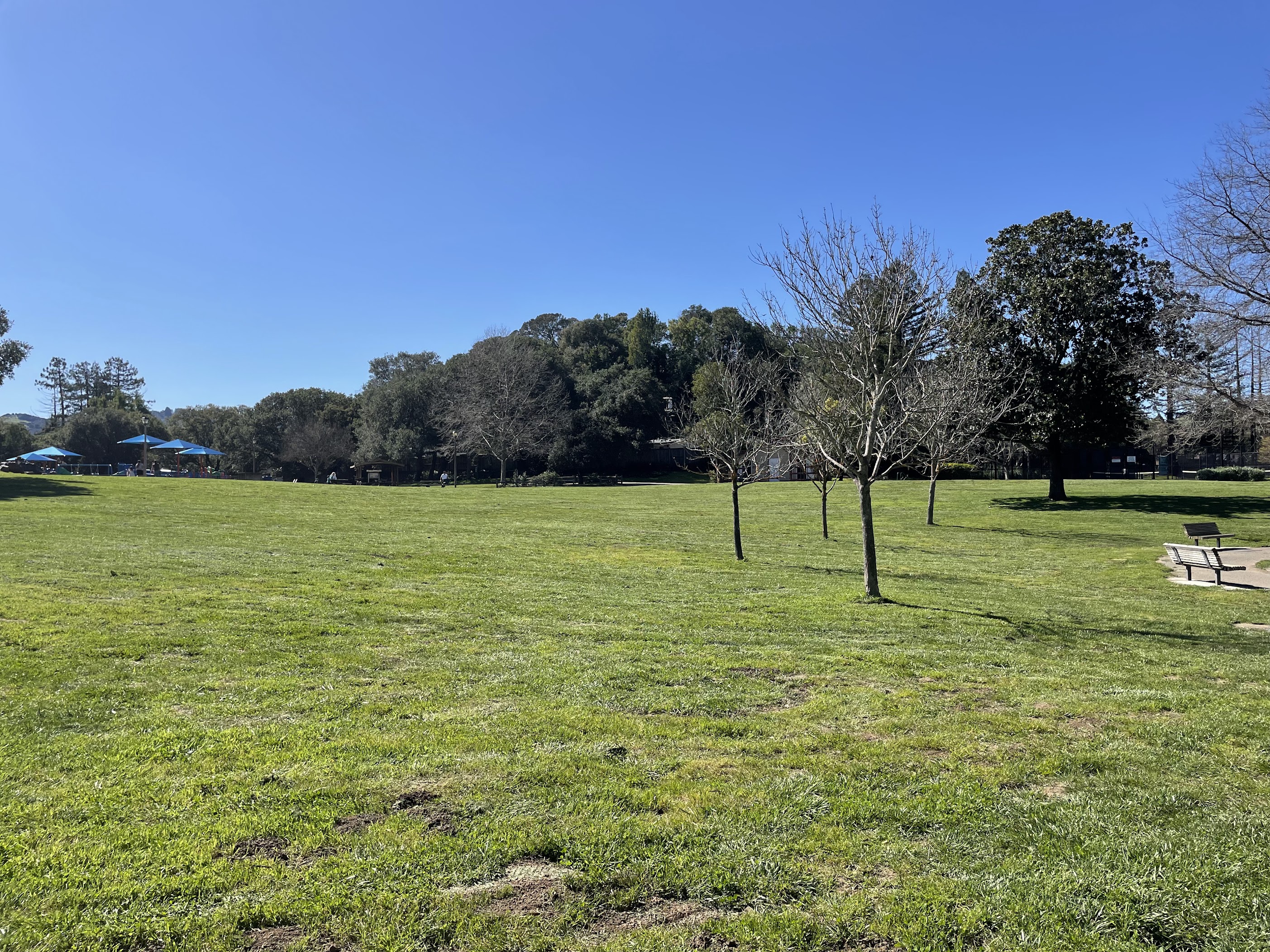 Marin Playground Profile: Pioneer Park in Novato | Marin Mommies