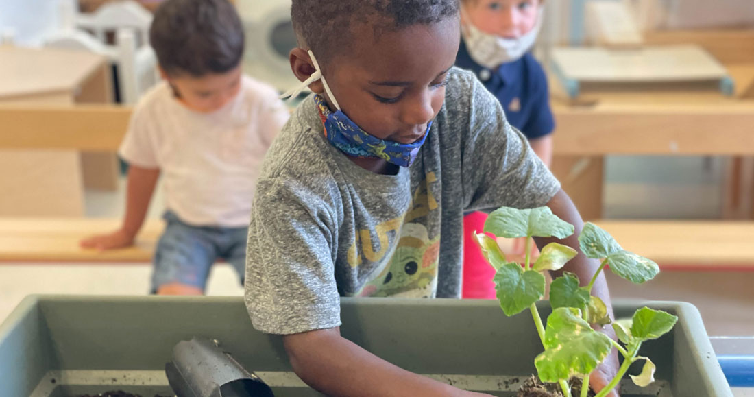 A School Garden to Grow and Learn | Marin Mommies