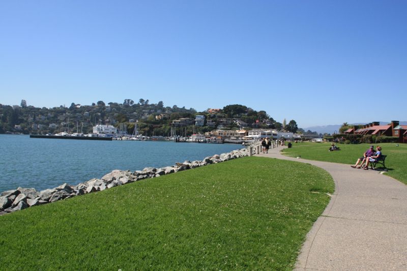 The Insider's Guide to Visiting Tiburon for Families | Marin Mommies