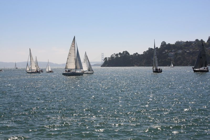 The Insider's Guide to Visiting Tiburon for Families | Marin Mommies