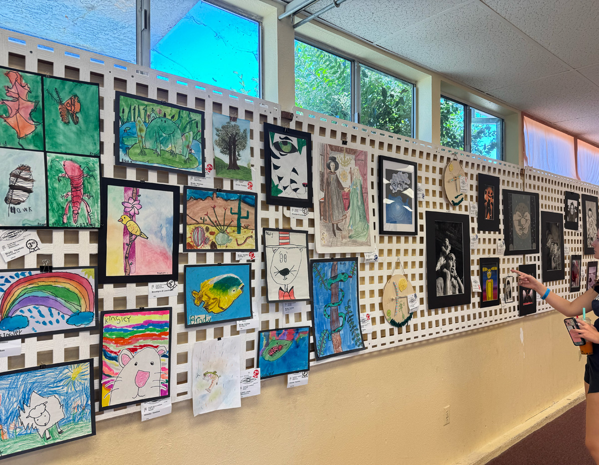 "Country Nights and Carnival Lights" at the 2025 Petaluma Fair | Marin ...