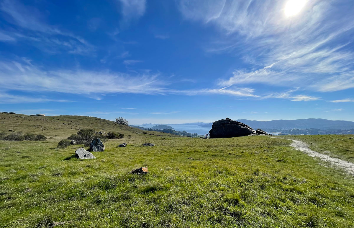 5 Favorite Winter Family Hikes in Marin and Beyond | Marin Mommies