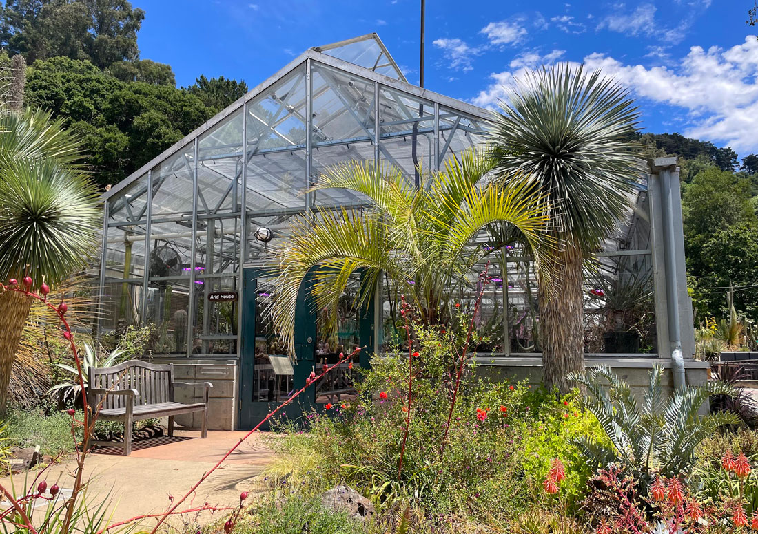 Explore the UC Botanical Garden at Berkeley | Marin Mommies
