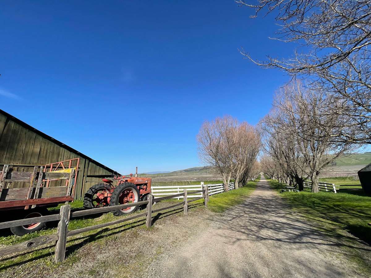 Tolay Lake Regional Park Is a Fantastic Place for a Family Hike | Marin ...