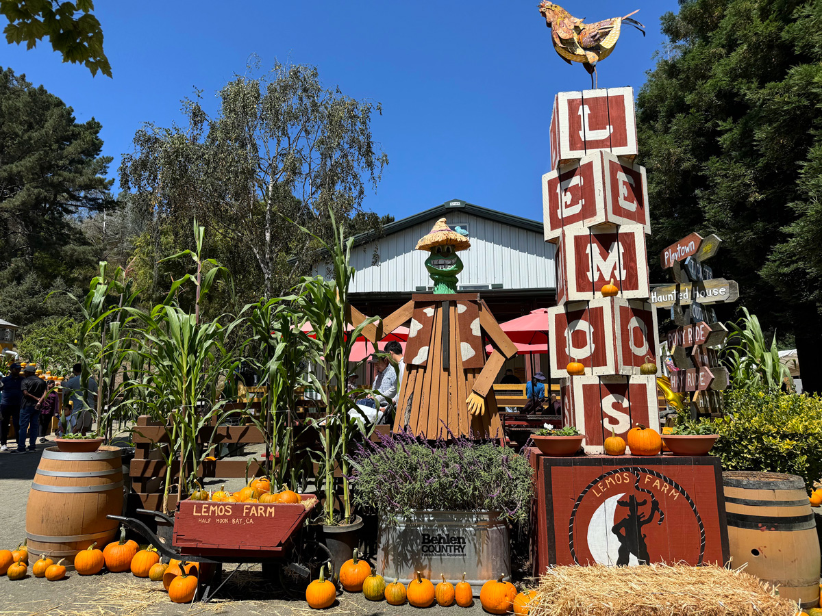 Fall Family Fun at Lemos Farm in Half Moon Bay | Marin Mommies