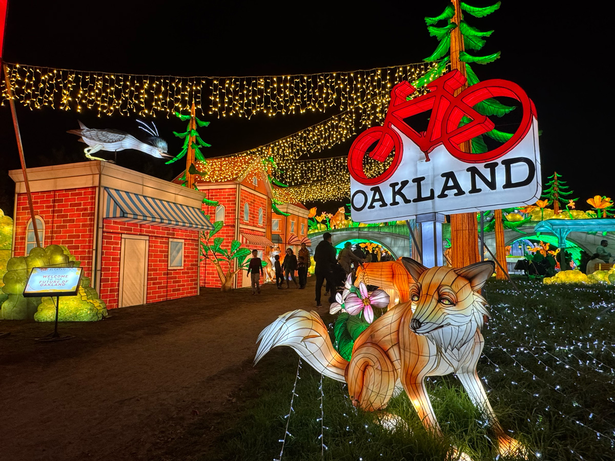 Holiday Light Experiences in the San Francisco Bay Area | Marin Mommies