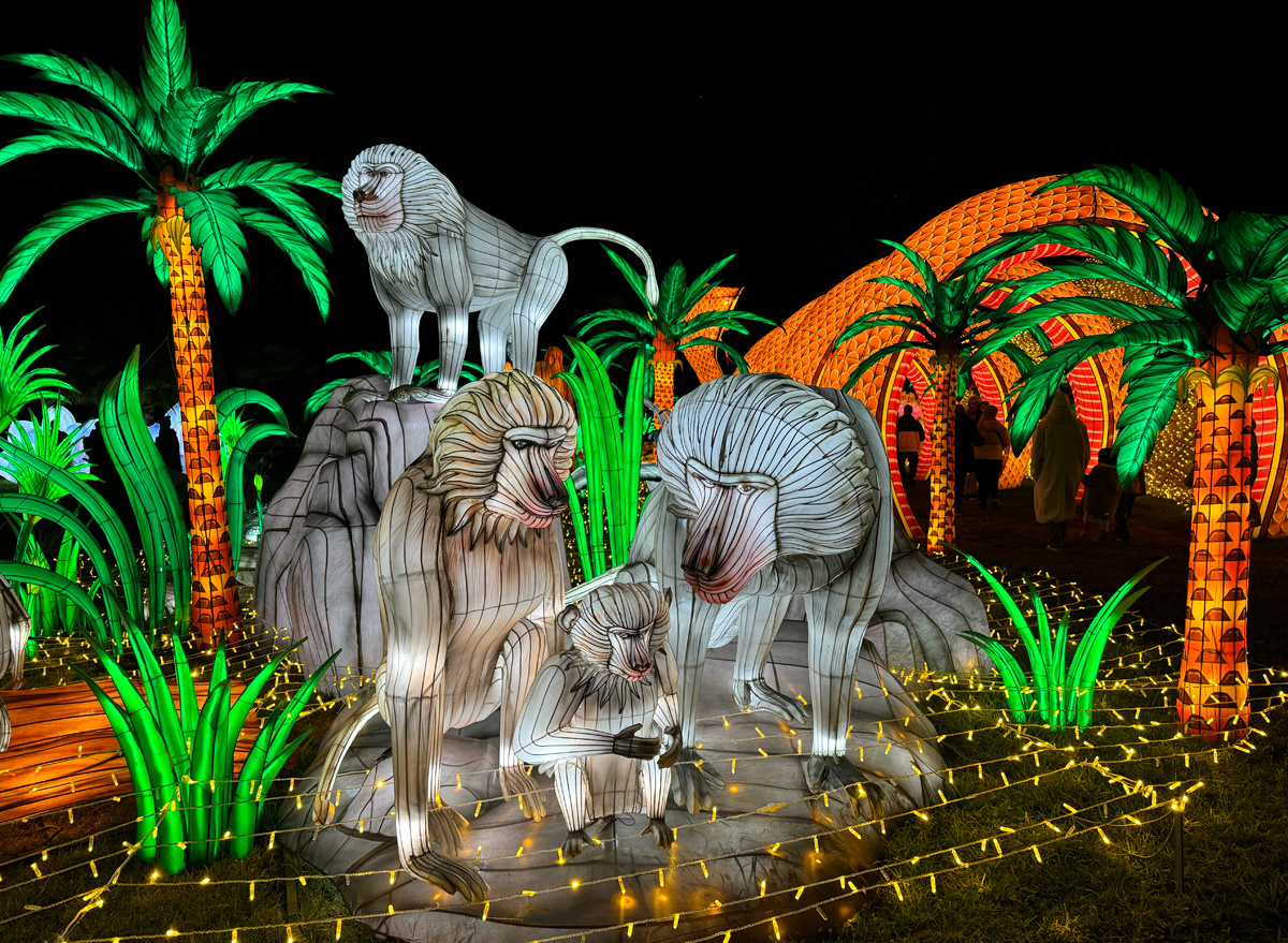 Glowfari, Oakland Zoo| Marin Mommies