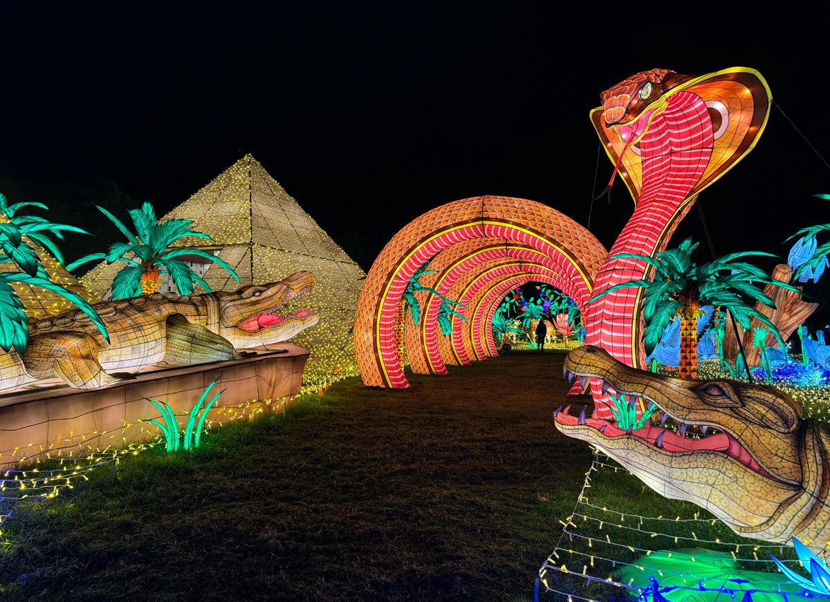 Glowfari, Oakland Zoo| Marin Mommies