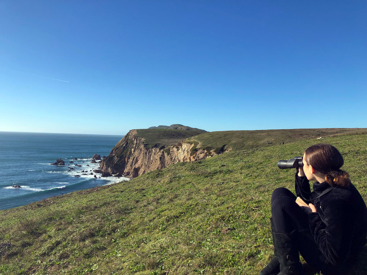 Elephant Seals, Wildflowers, and More at Point Reyes's Chimney Rock ...