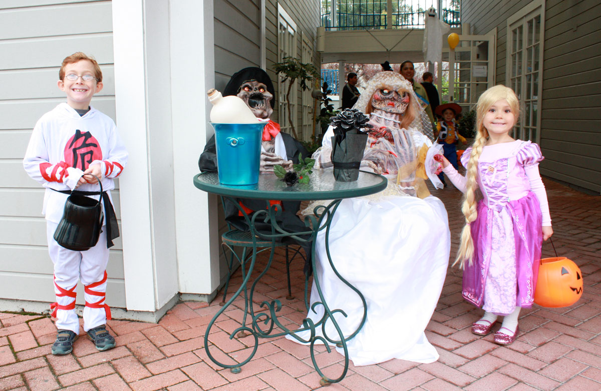 Best Weekend Family Events in Marin