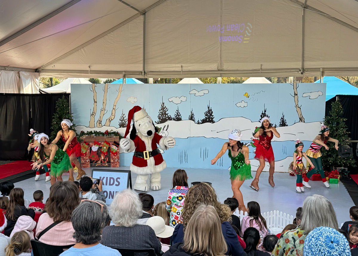 15 Free Family Fun Things to Do This Holiday Season | Marin Mommies