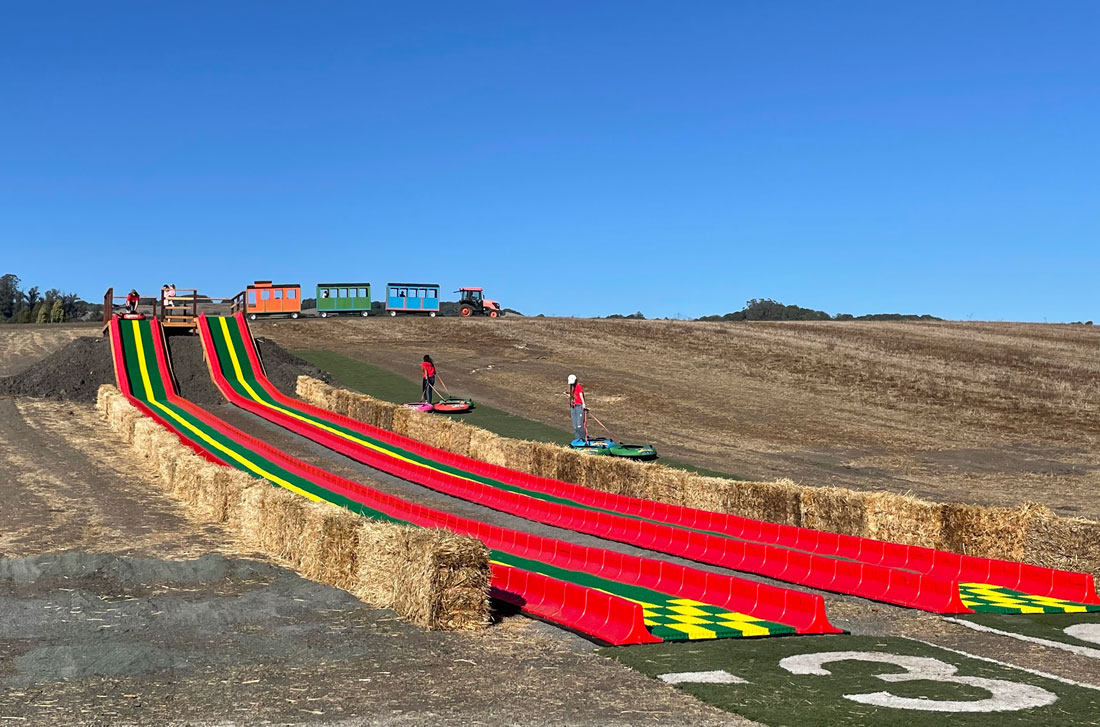 Halloween Fun at Pronzini Farms Pumpkin Patch in Petaluma | Marin Mommies