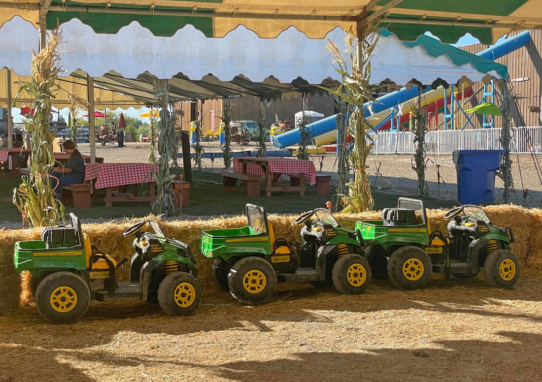 Halloween Fun at Pronzini Farms Pumpkin Patch in Petaluma | Marin Mommies