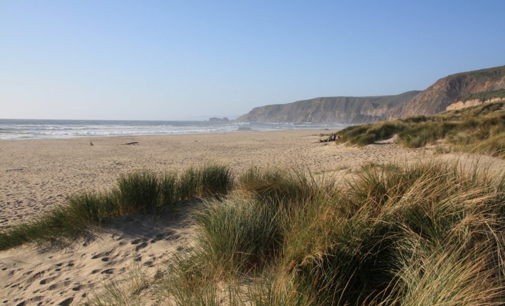 Best Marin County Beaches for Families | Marin Mommies