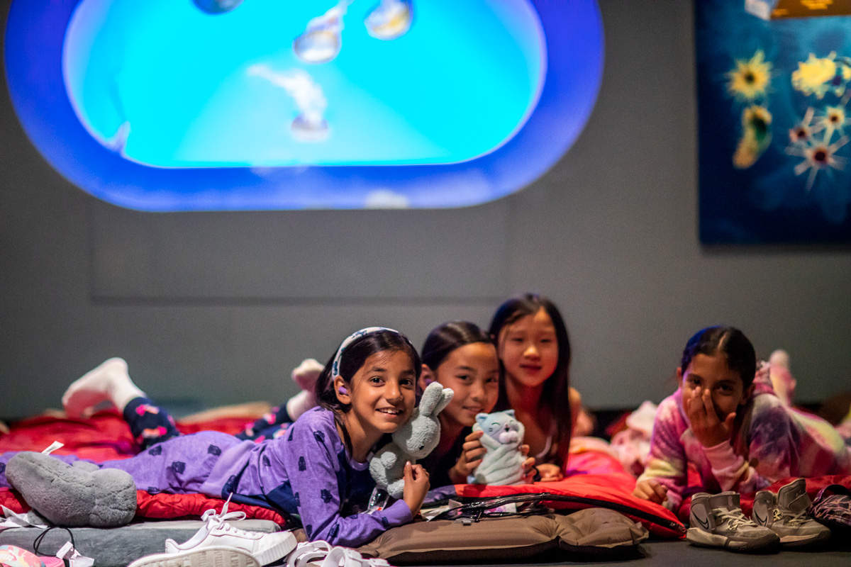 Best Family Sleepovers in the Bay Area and Beyond