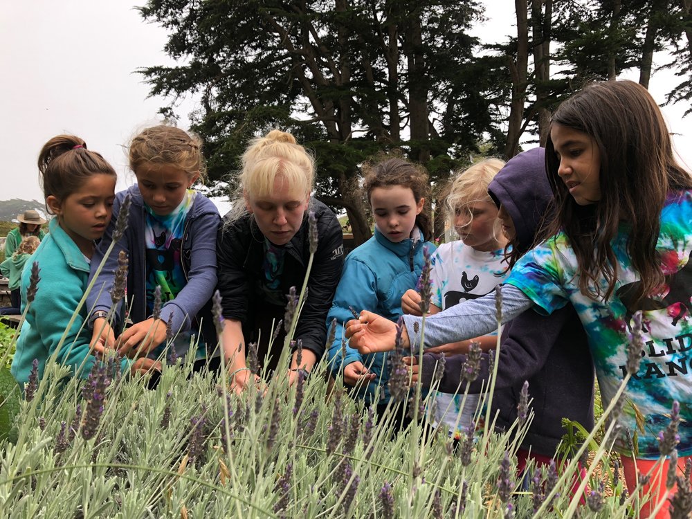 Slide Ranch Summer Camps 2025 | Marin Mommies