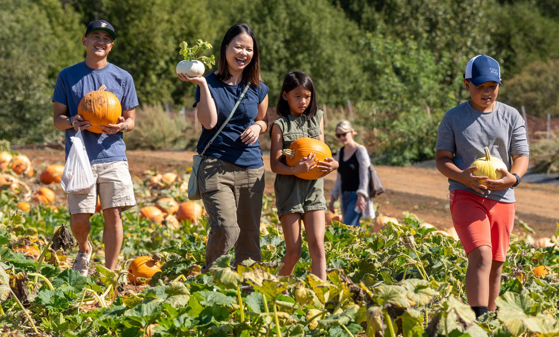 Fall Farm Fun at Weekend Along the Farm Trails! | Marin Mommies