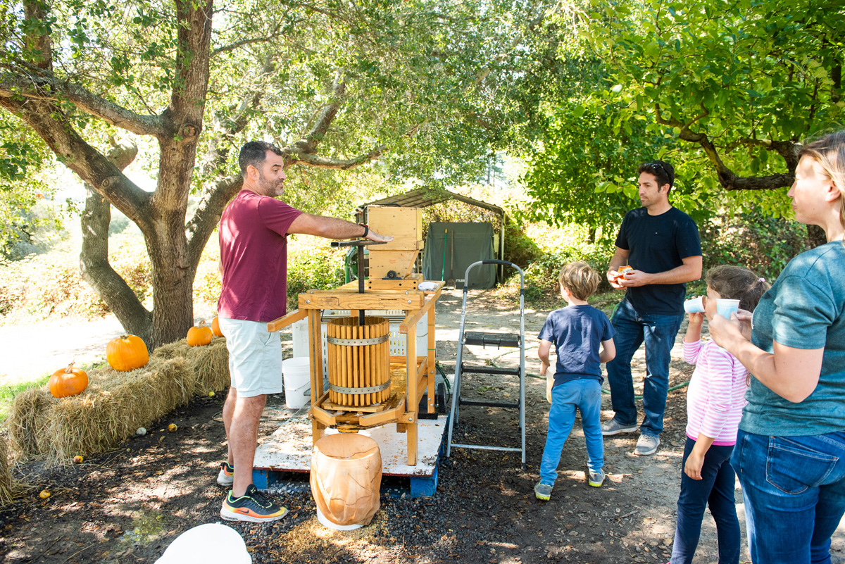 Fall Farm Fun at Weekend Along the Farm Trails! | Marin Mommies