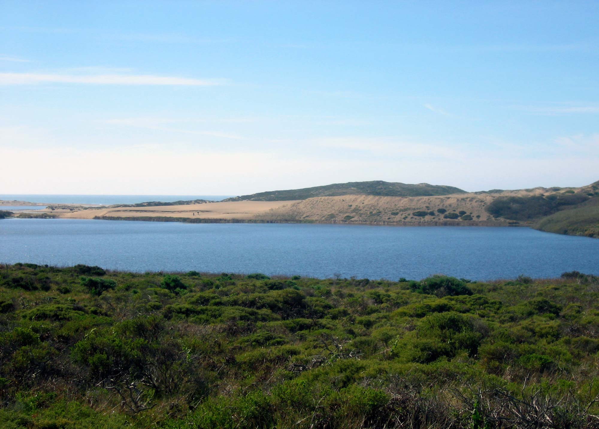 Best Marin County Beaches for Families | Marin Mommies