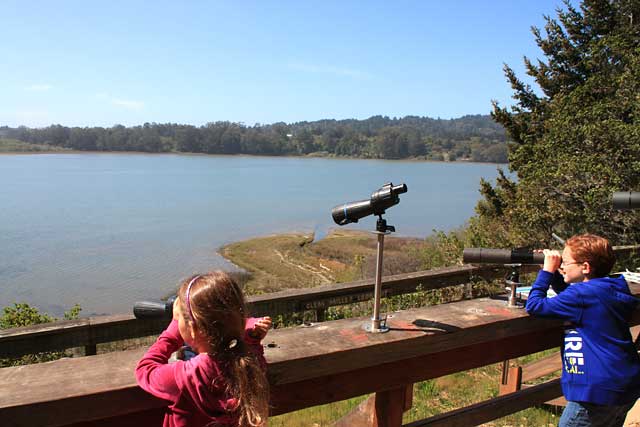 Nature and Outdoor Fun at Audubon Canyon Ranch's Martin Griffin ...