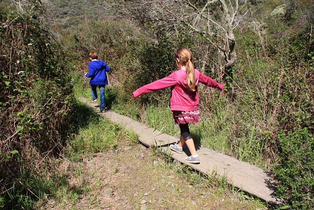 Nature and Outdoor Fun at Audubon Canyon Ranch's Martin Griffin ...