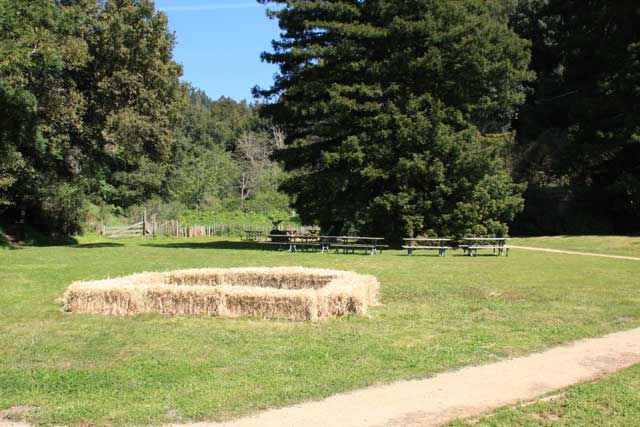 Nature and Outdoor Fun at Audubon Canyon Ranch's Martin Griffin ...