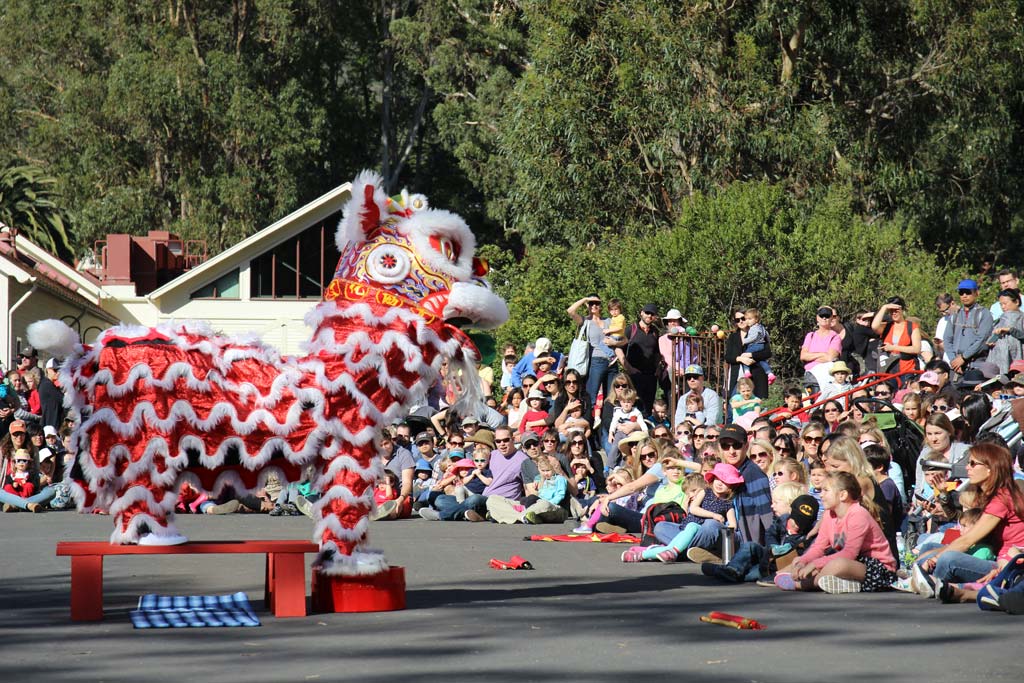 Chinese New Year Family Fun in Marin and the Bay Area | Marin Mommies