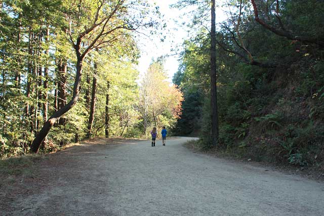 Hiking with Kids in Marin: Baltimore Canyon Open Space Preserve | Marin ...