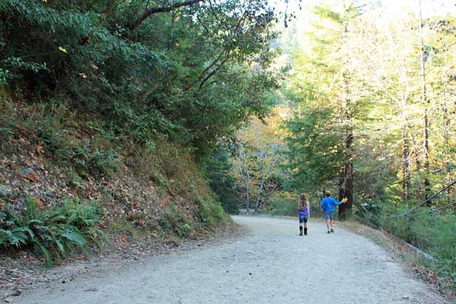 Hiking with Kids in Marin: Baltimore Canyon Open Space Preserve | Marin ...